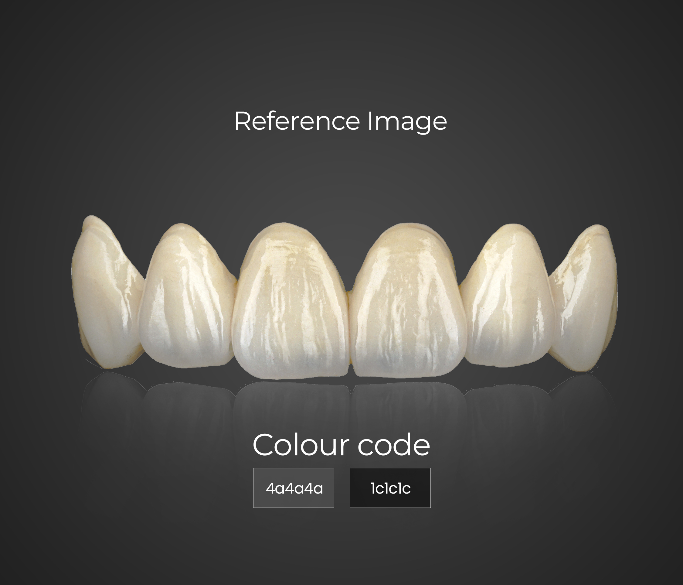 Implant Bredent BioHPP